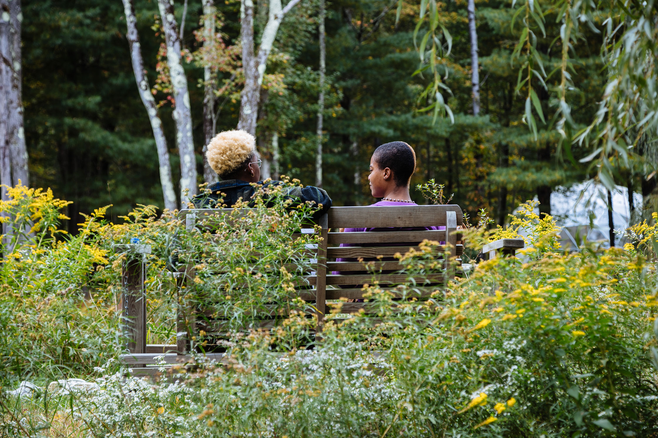 What community gardens can teach us about creativity, advocacy, and navigating the present ...