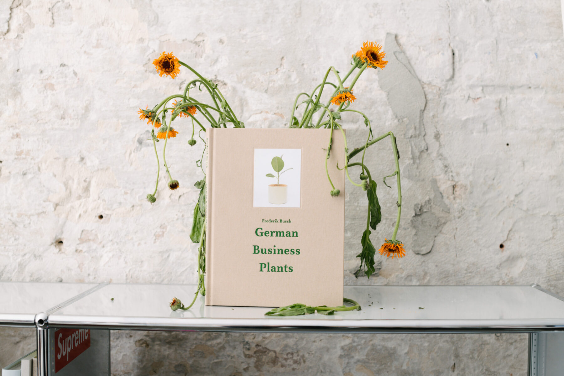 Frederik Busch’s German Business Plants looks at the lives of workplace ...